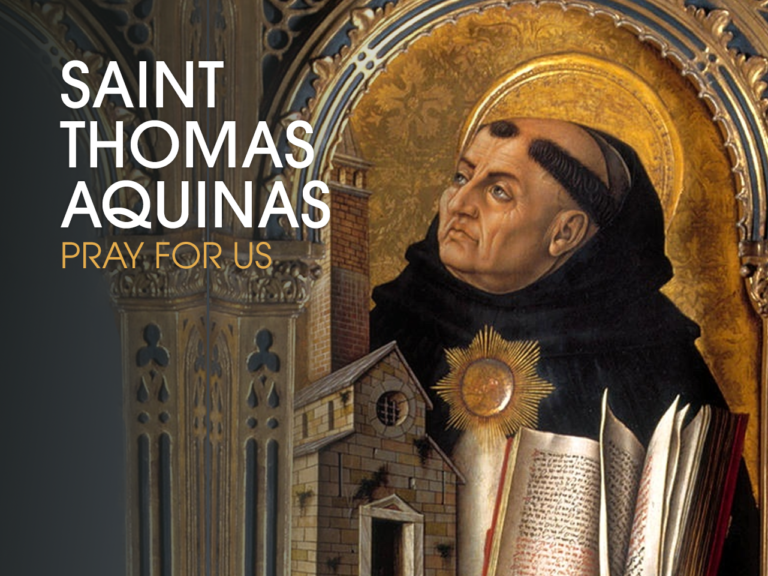 Jan 28 – St Thomas Aquinas, O.P., (1225-1274) – Doctor of the Church ...
